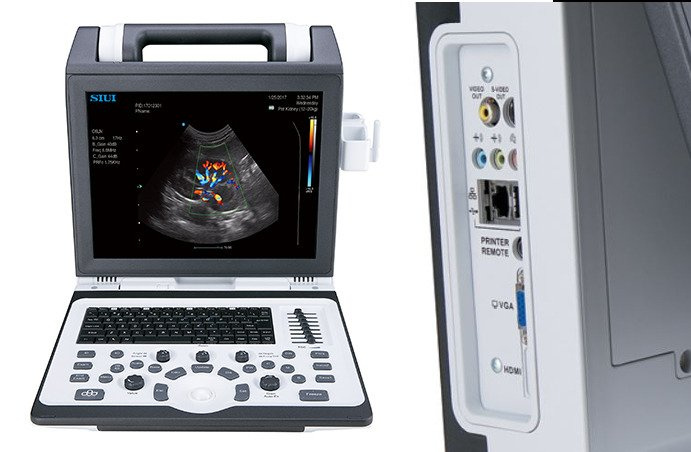 Ultrasonograf weterynaryjny APOGEE 2100V monitor 15" kolor